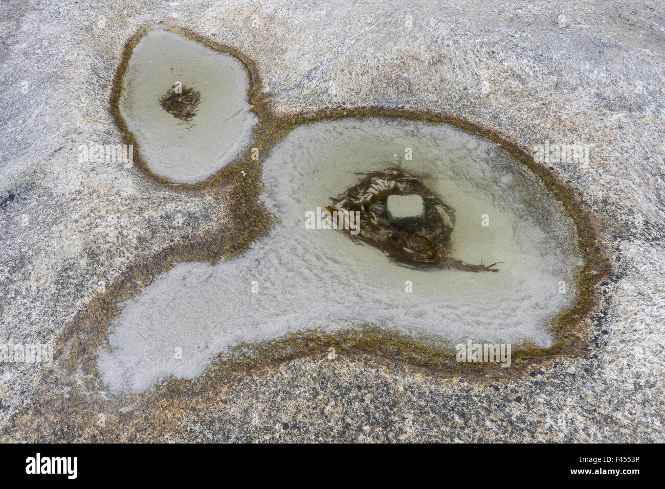 Tidal pool lofoten norway hi-res stock photography and images - Alamy