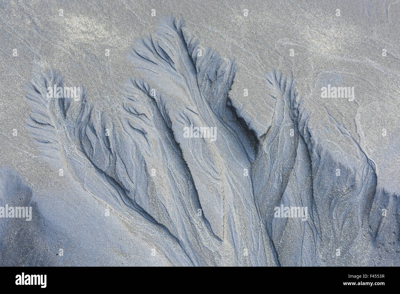 sand structures, Lofoten, Norway Stock Photo - Alamy