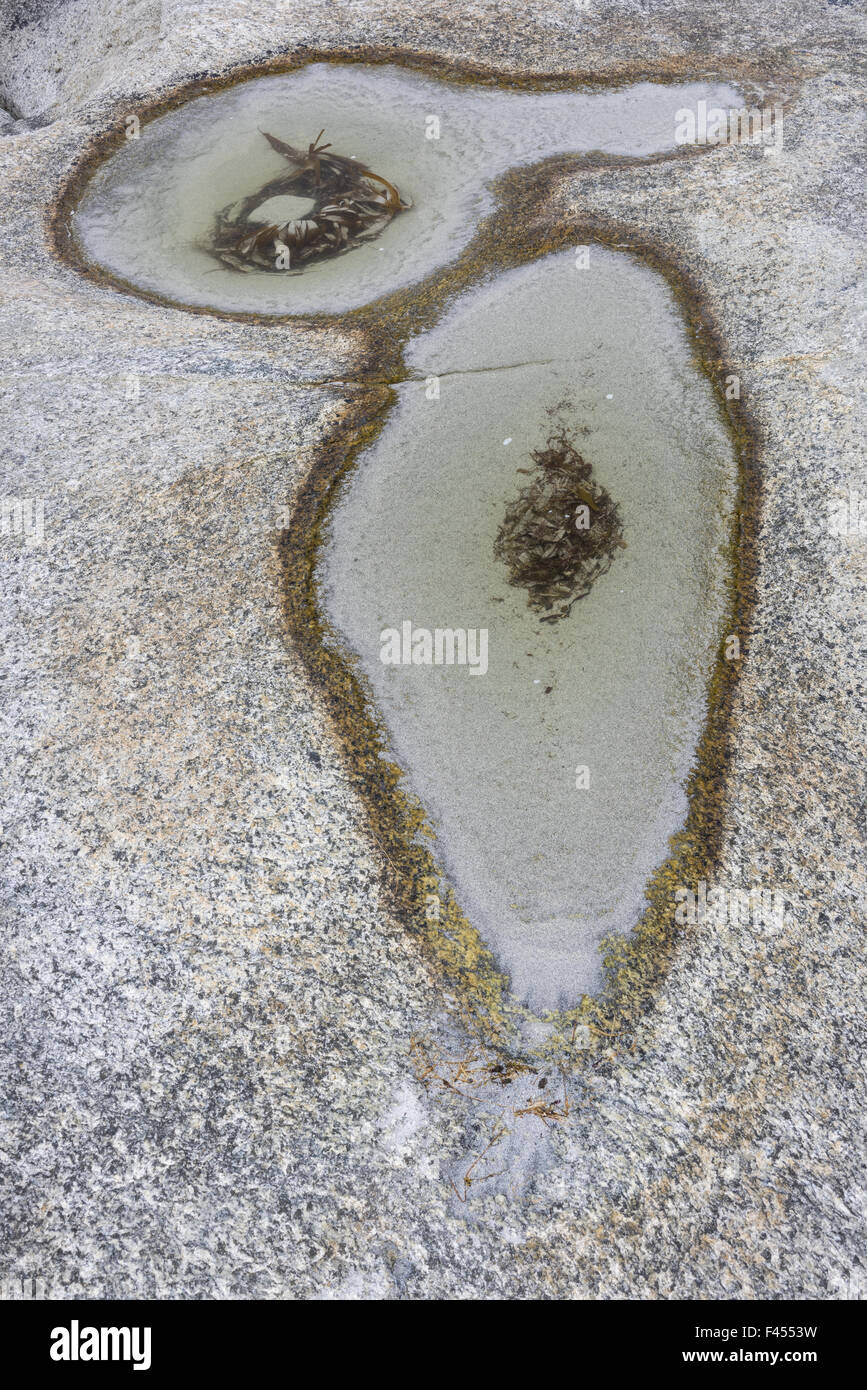tidal pool, Lofoten, Norway Stock Photo - Alamy