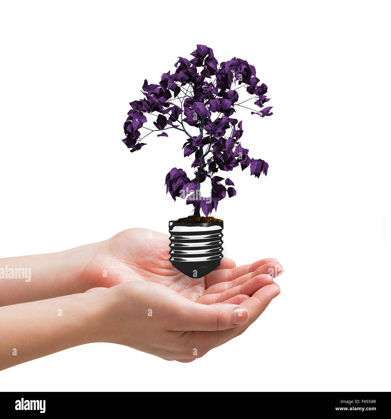 Hands fixture hi-res stock photography and images - Alamy