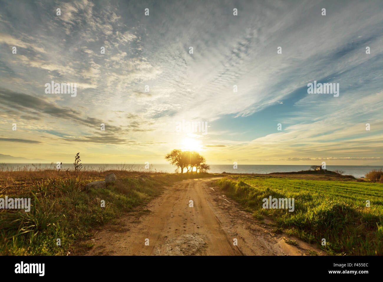 Road in field Stock Photo - Alamy