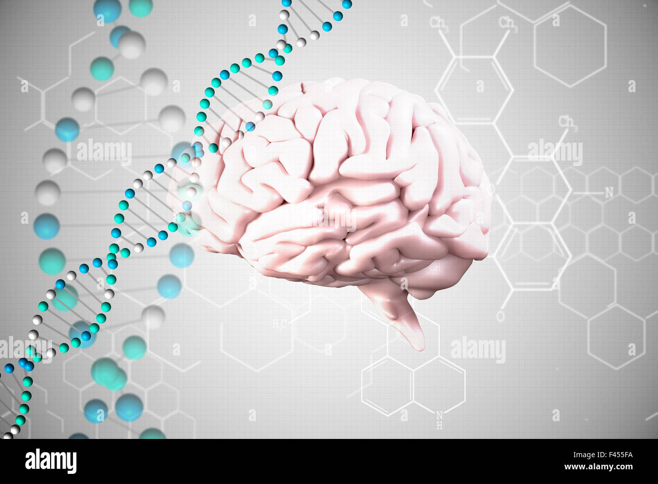 Genetics brain hi-res stock photography and images - Alamy