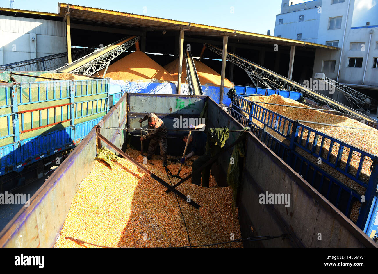 Corn processing hi-res stock photography and images - Alamy