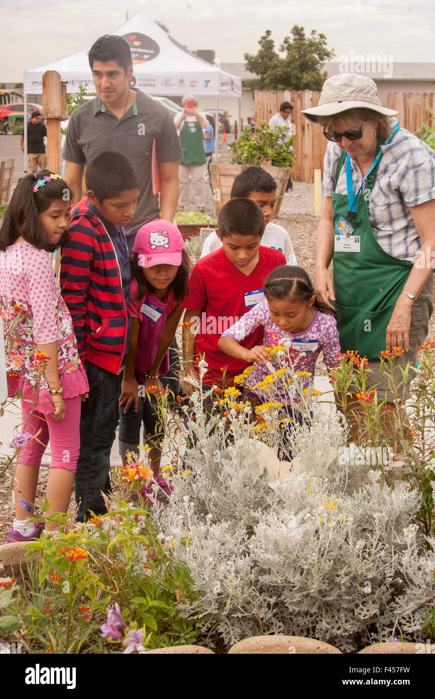 Child growing herbs hi-res stock photography and images - Alamy