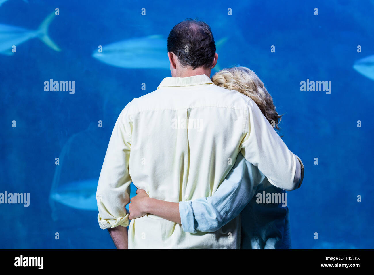 Rear view of couple watching the tank fish Stock Photo - Alamy