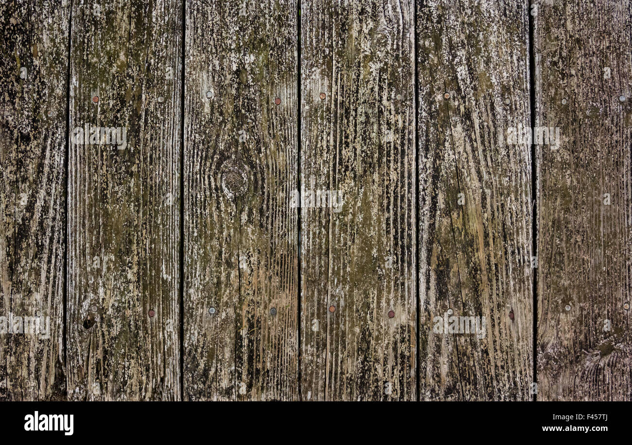 Weather worn wooden boards on decking along an inlet marsh Stock Photo ...