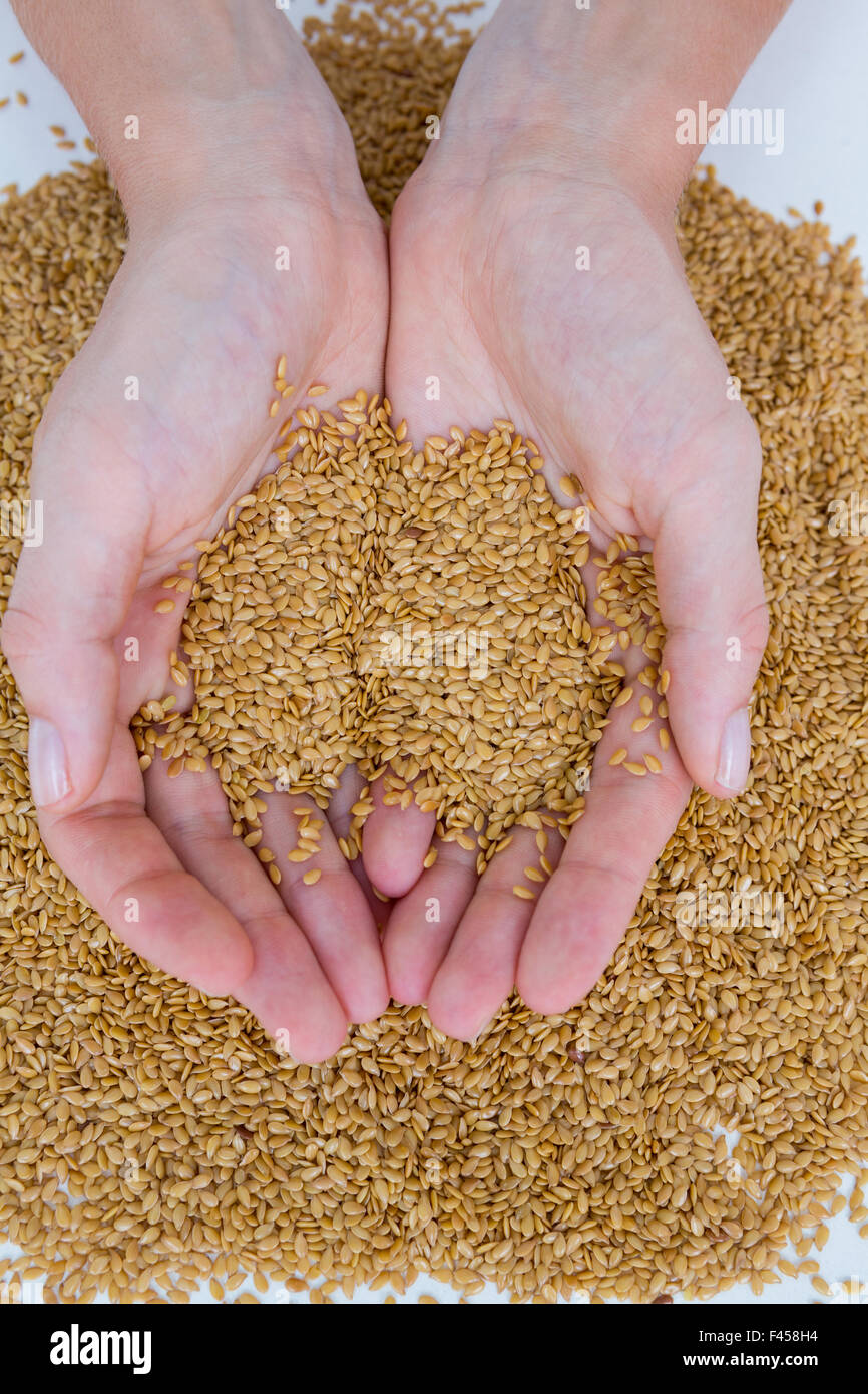 Hands holding seeds Stock Photo - Alamy