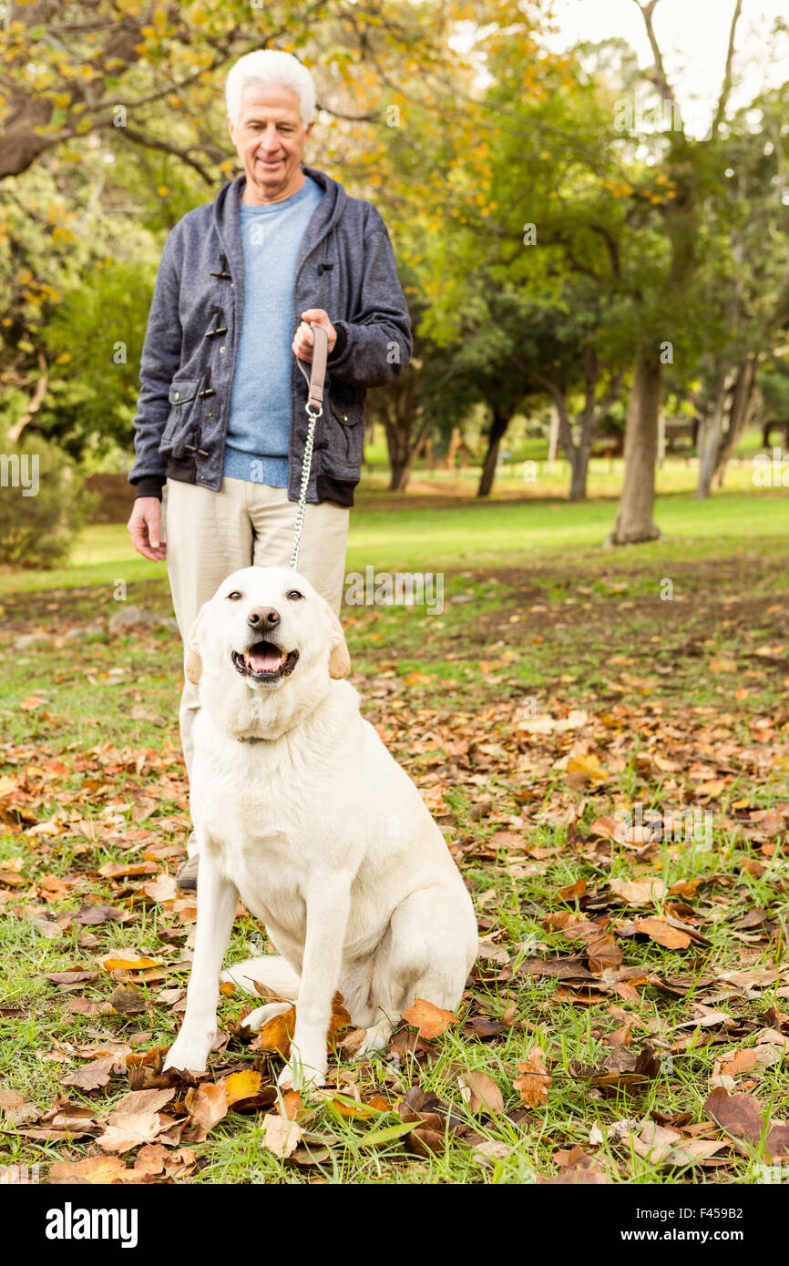 Man walking yellow labrador dog hi-res stock photography and images - Alamy