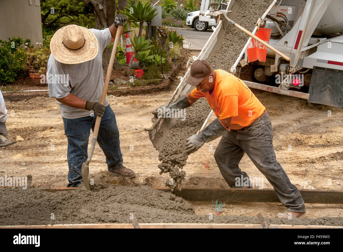 Hispanic construction workers pour cement into a wooden form prior to ...