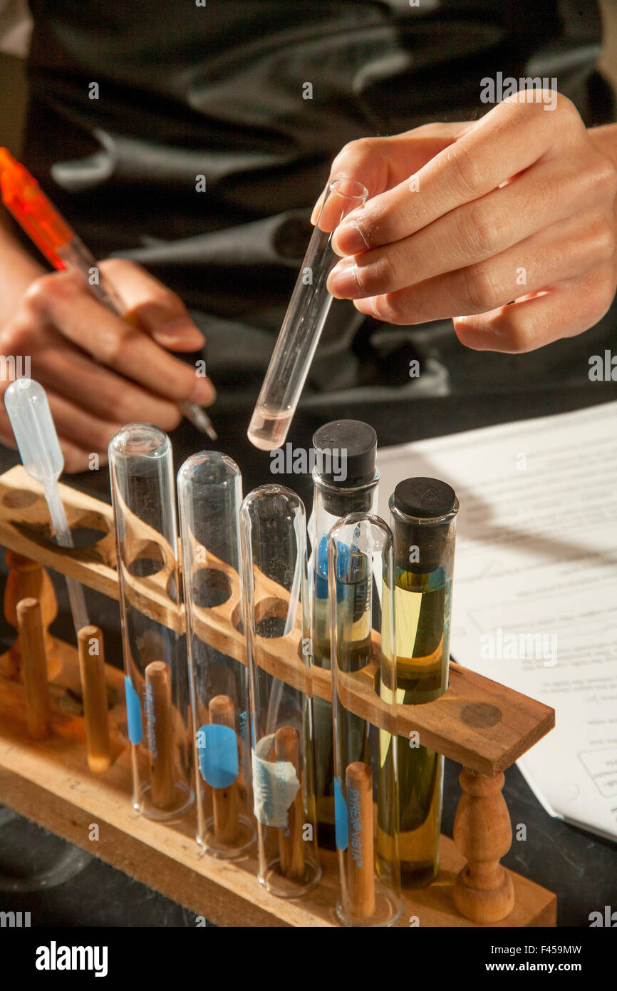 A San Clemente, CA, high school chemistry student practices qualitative ...