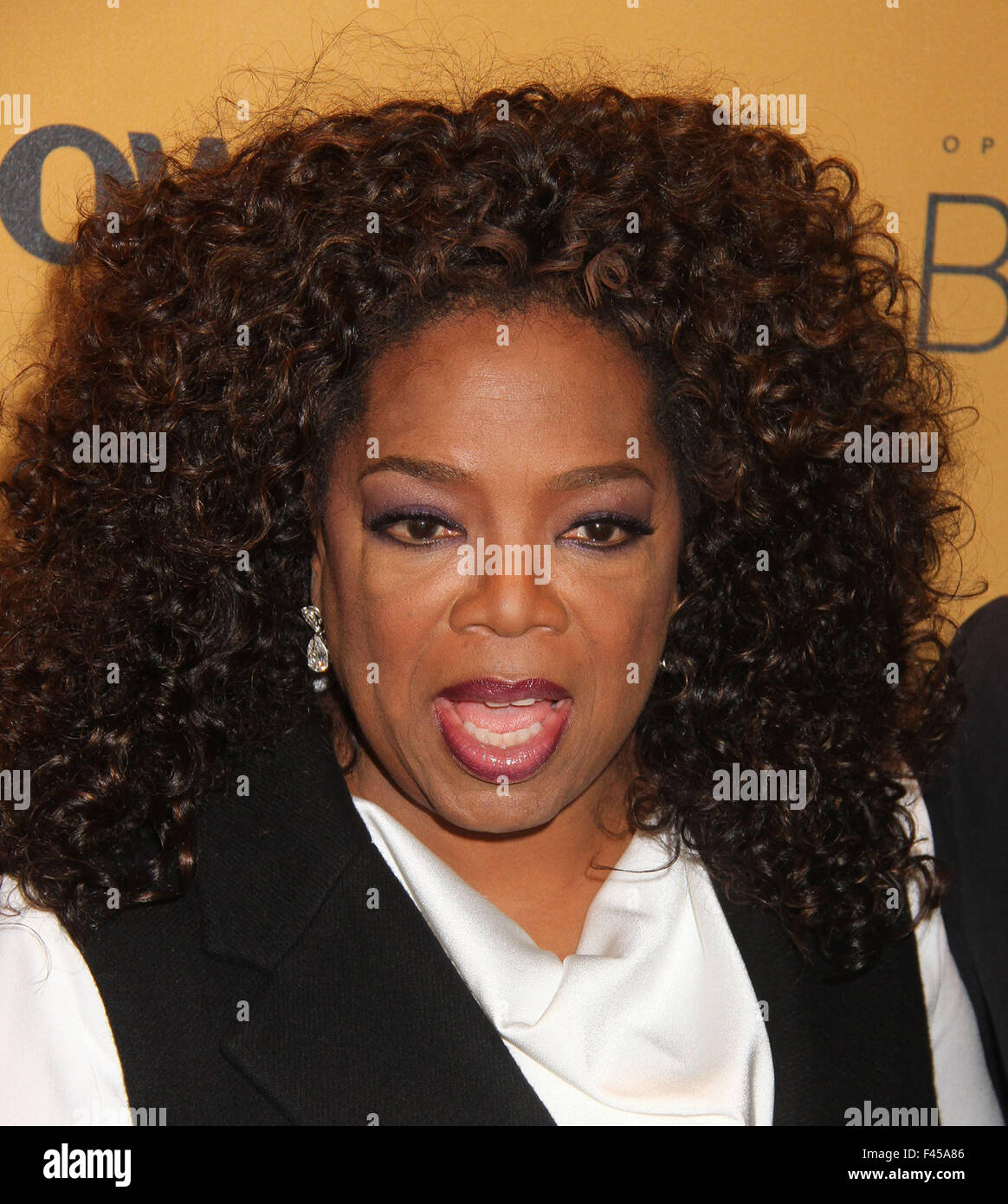 Oprah Winfrey Headshot 2015 High Resolution Stock Photography and ...