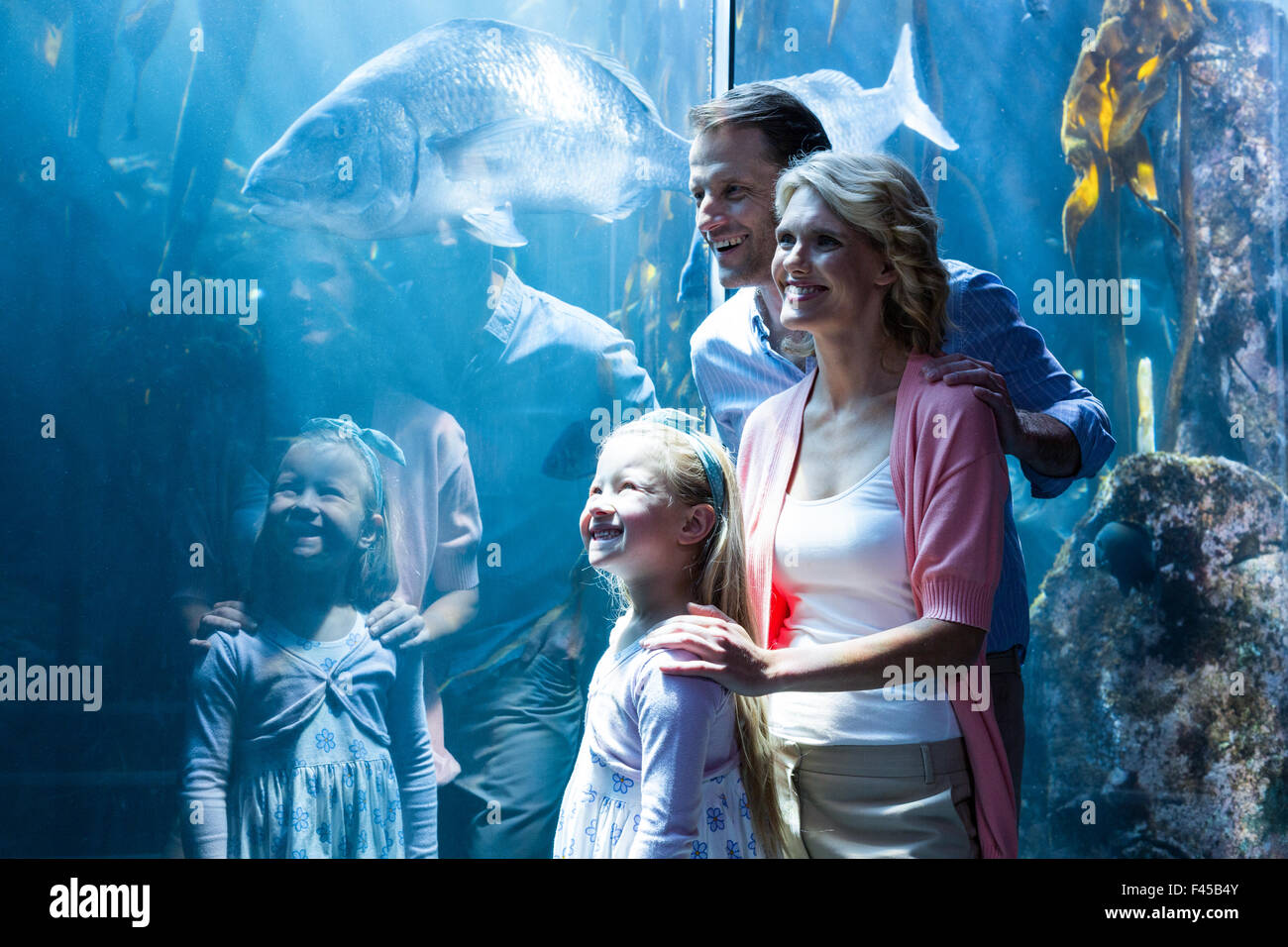 Child in fish tank hi-res stock photography and images - Alamy