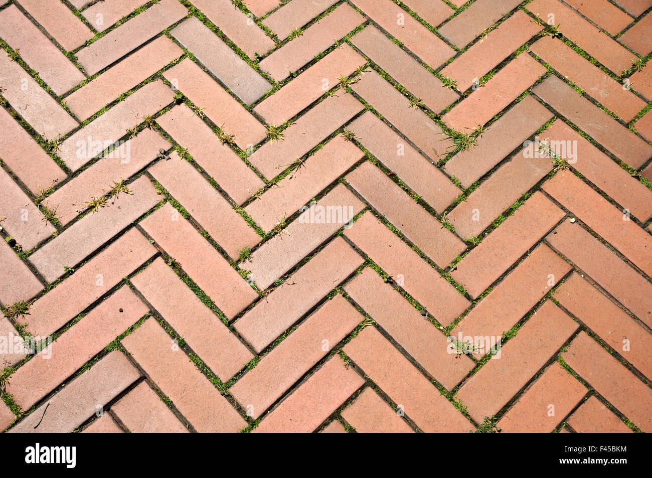 Brick pavement hi-res stock photography and images - Alamy