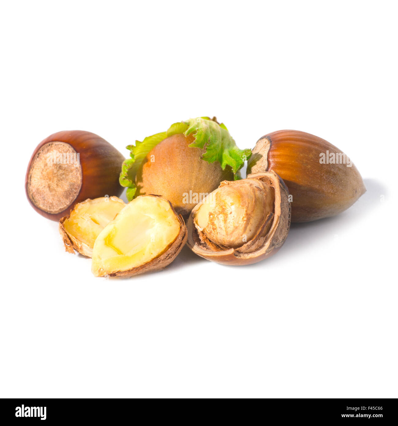 Queensland nuts hi-res stock photography and images - Alamy