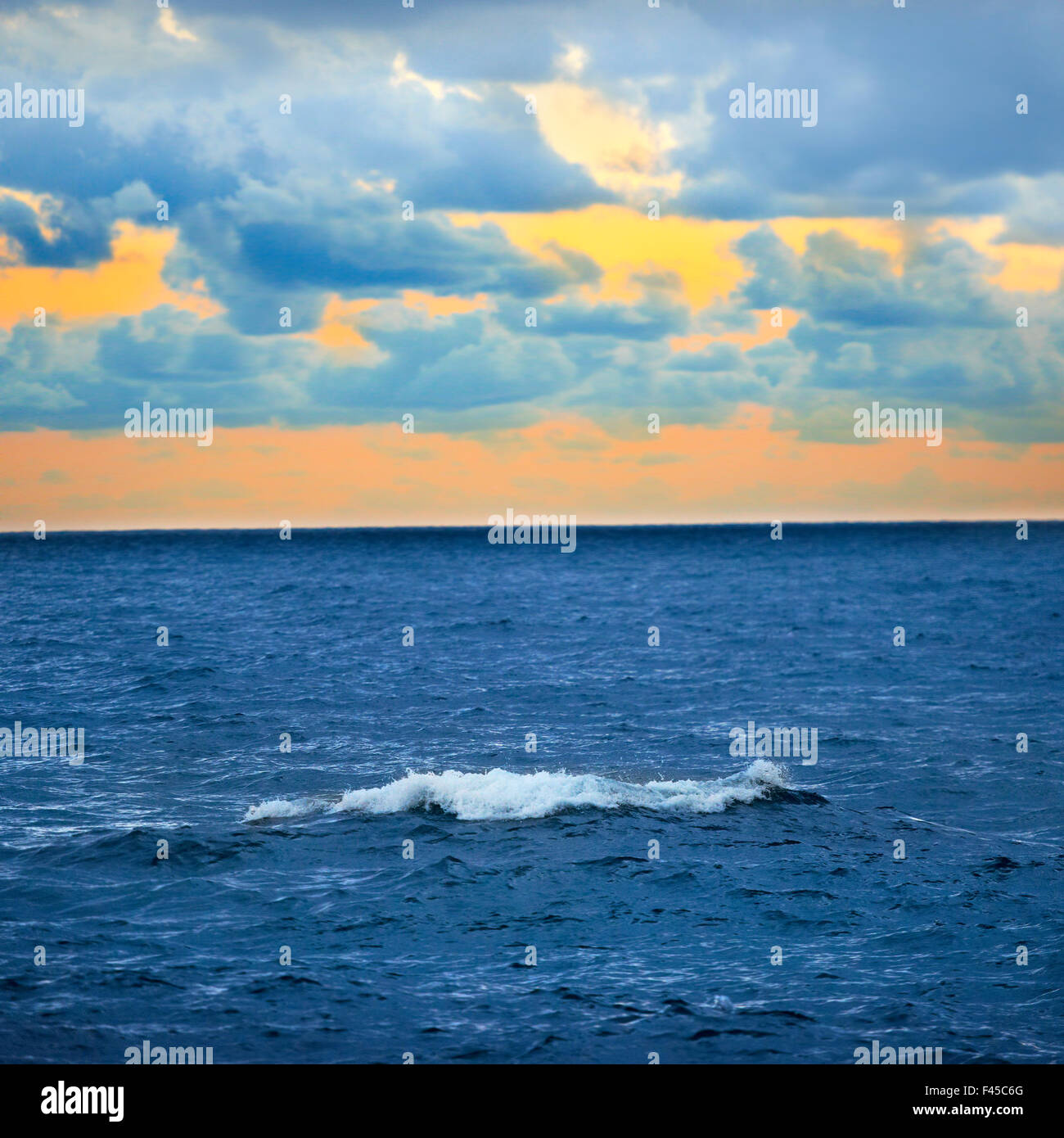 Over wave hi-res stock photography and images - Alamy