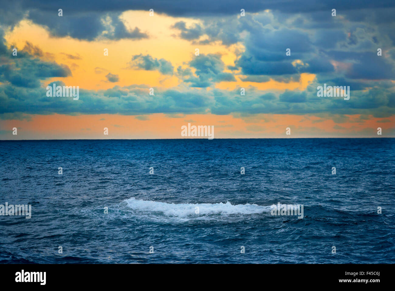 Big wave over colorful sunset Stock Photo - Alamy