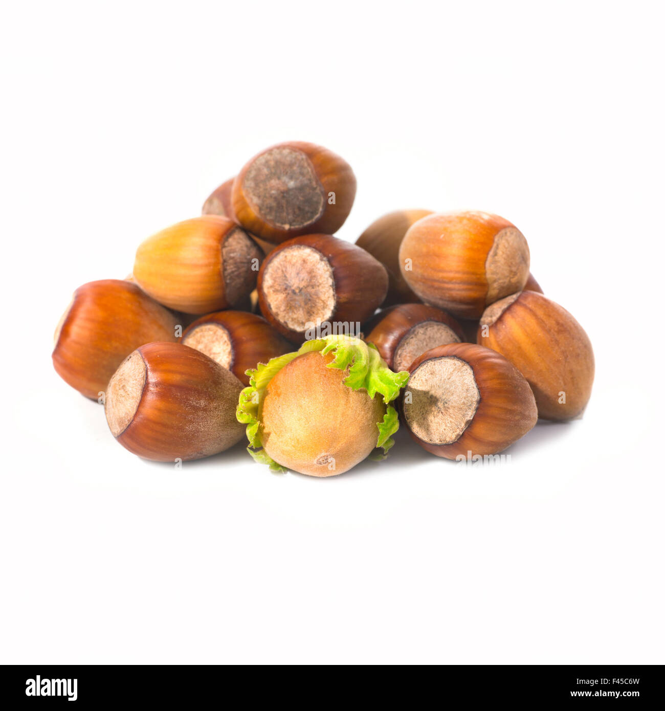 Queensland nuts hi-res stock photography and images - Alamy