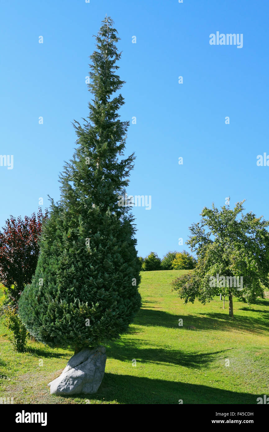 Long Cast Shadow High Resolution Stock Photography and Images - Alamy