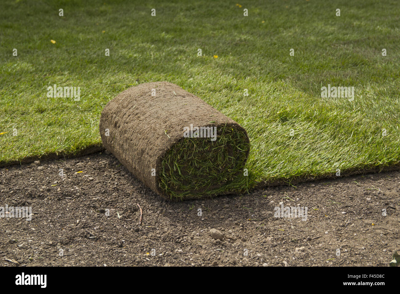 Rolling process hi-res stock photography and images - Alamy