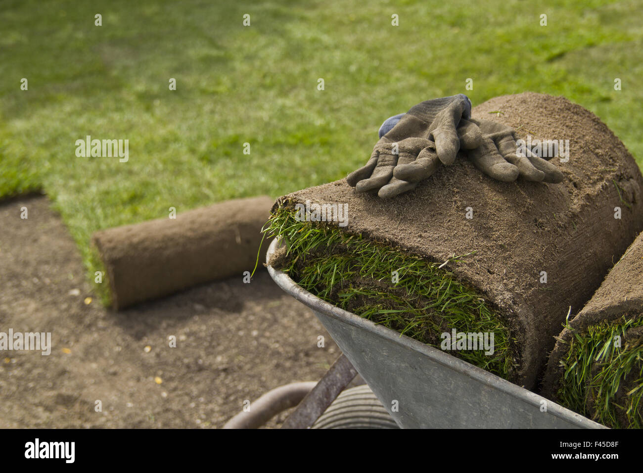F lawn hi-res stock photography and images - Alamy