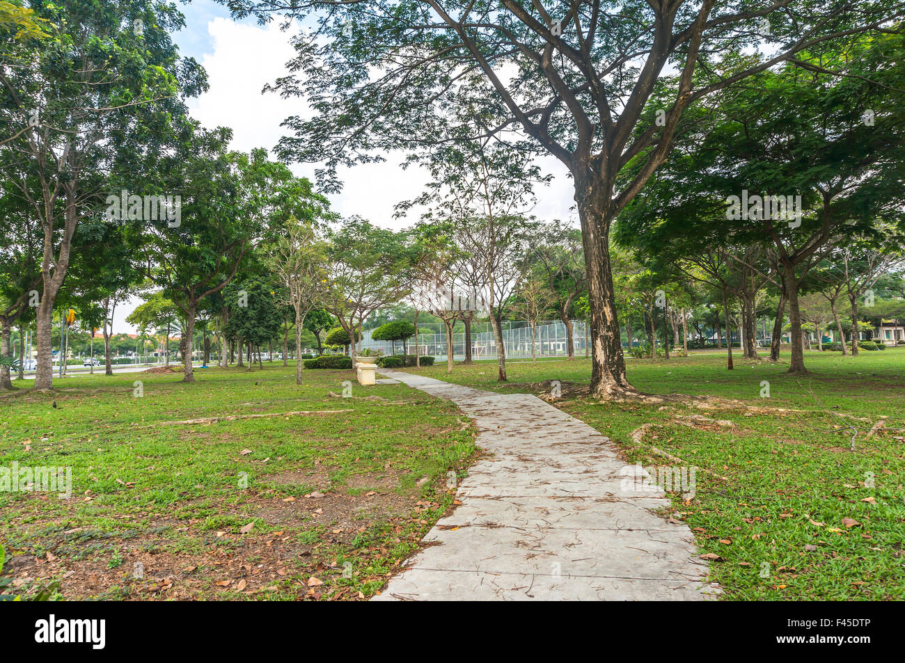 jogging track at green garden Stock Photo - Alamy