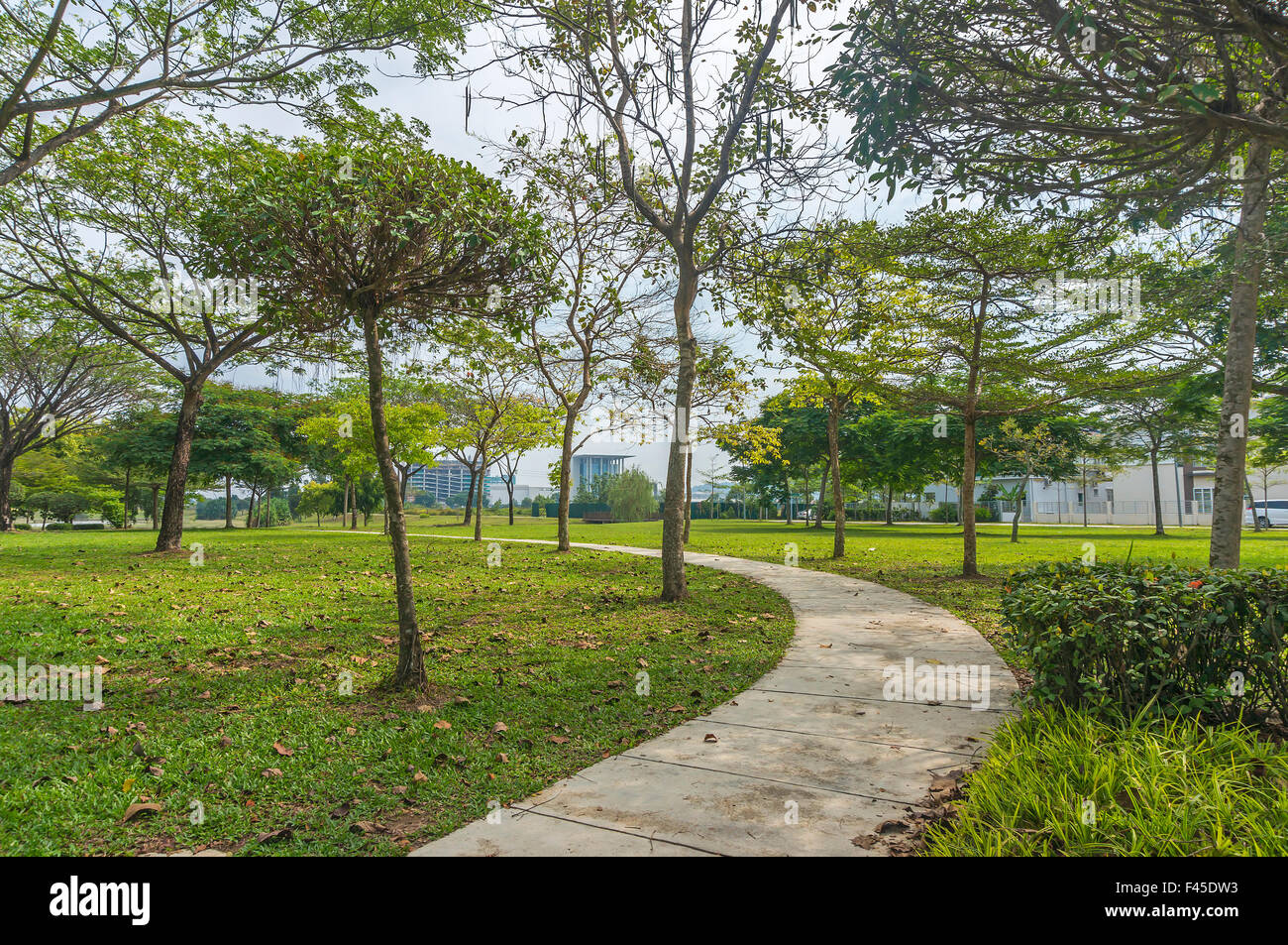 jogging track at green garden Stock Photo - Alamy