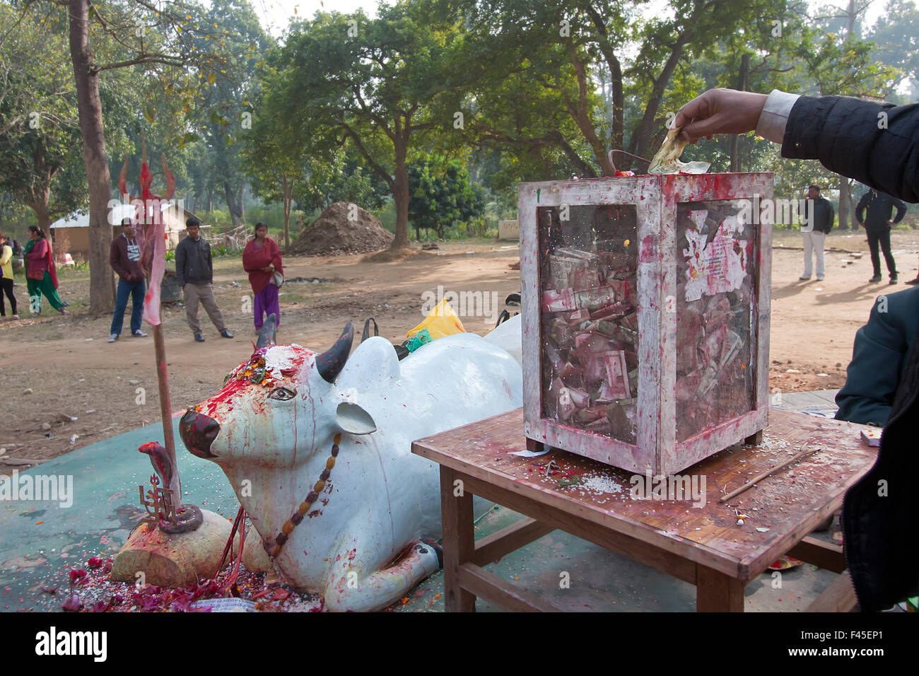 donation money box in hindu temple in Nepal Stock Photo - Alamy