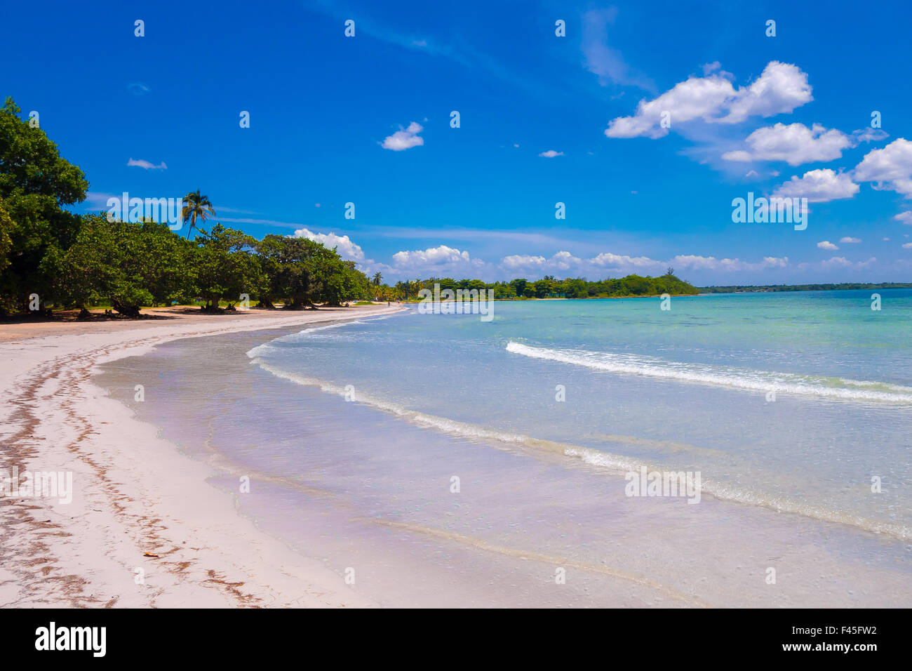 Bay of pigs invasion beach hi-res stock photography and images - Alamy