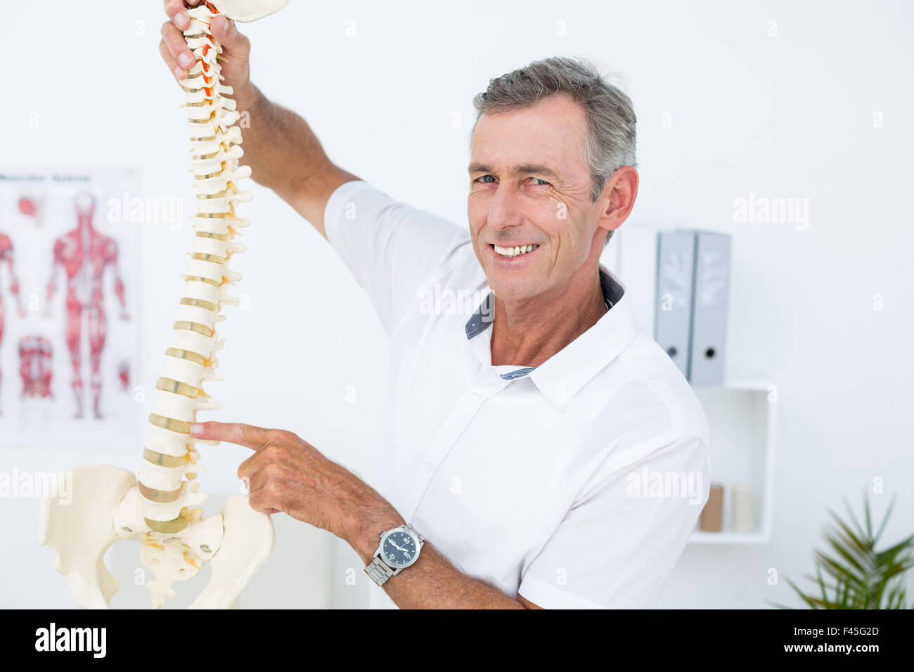 Smiling doctor showing anatomical spine Stock Photo - Alamy