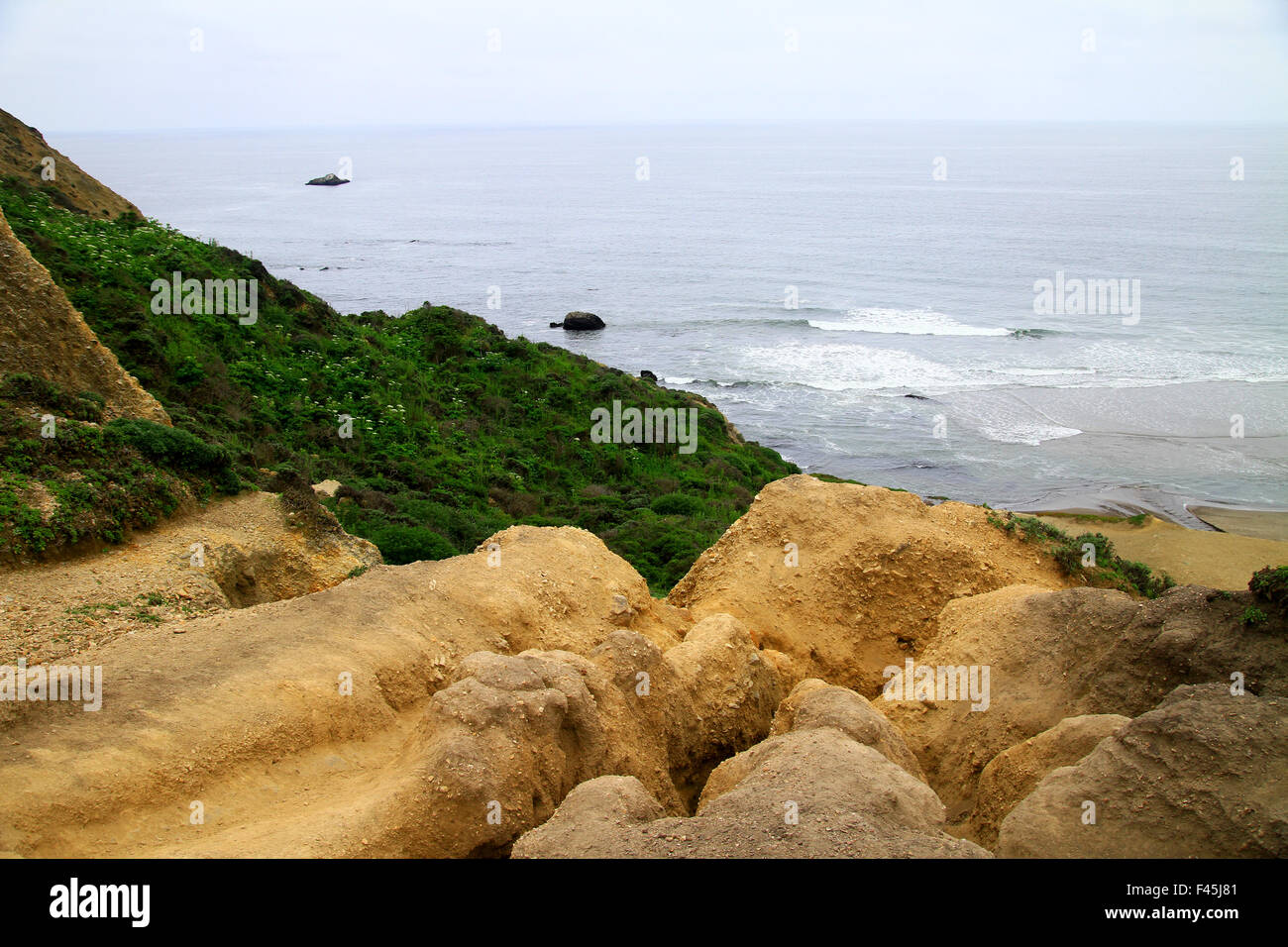 Alamere falls waterfall trail at Point Reyes National Seashore in Marin ...