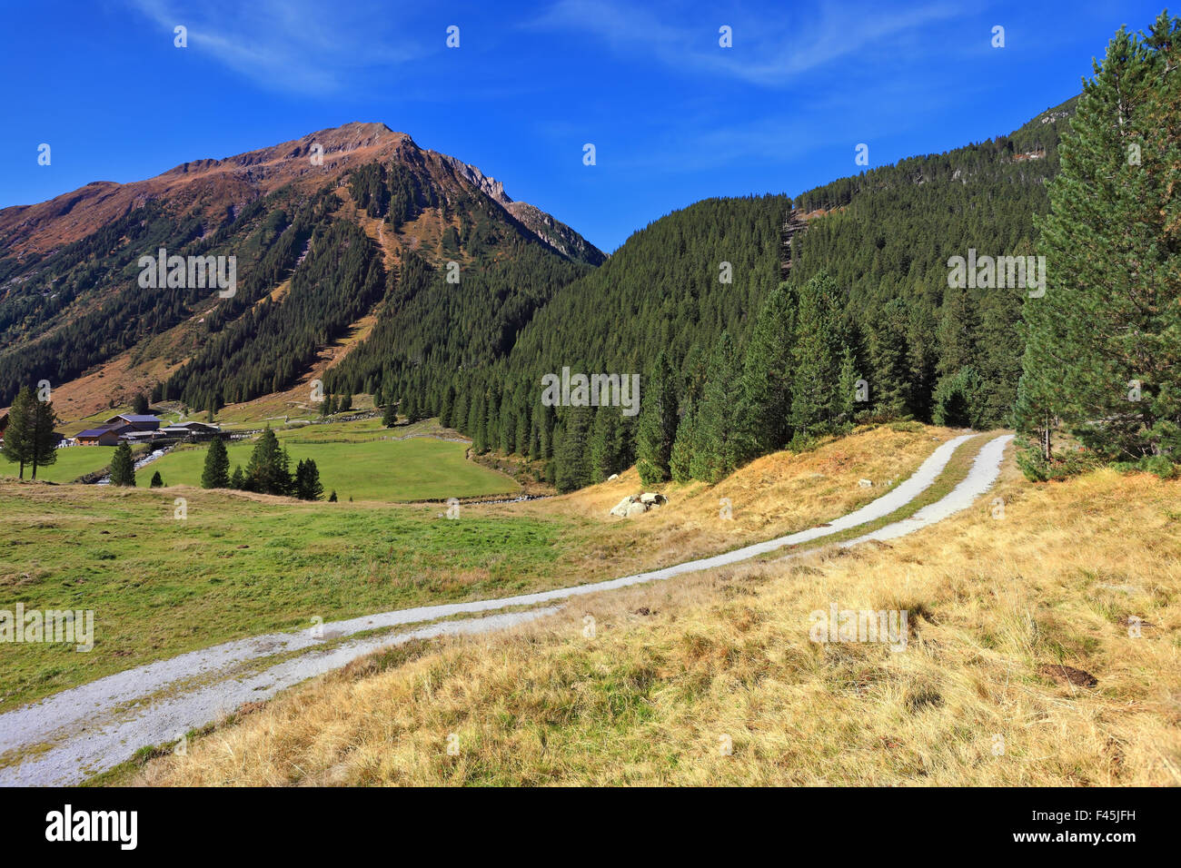 Grass dirt path blue sky hi-res stock photography and images - Alamy