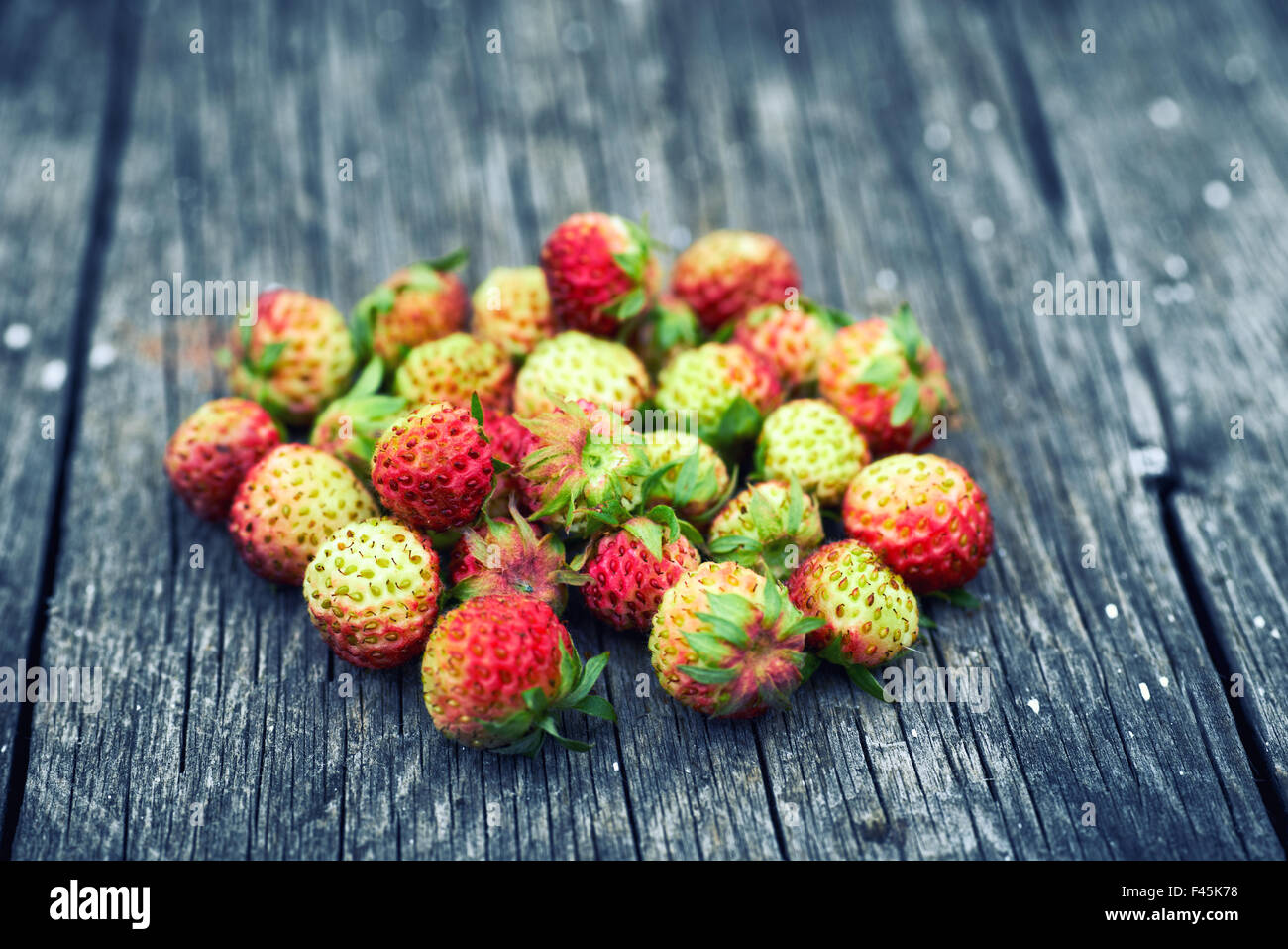 Bunch of red wild strawberry Stock Photo - Alamy