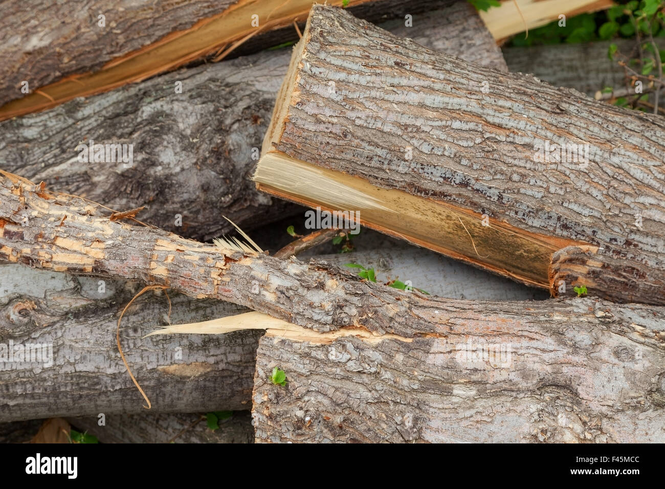 pile of logs with textured bark. background Stock Photo - Alamy