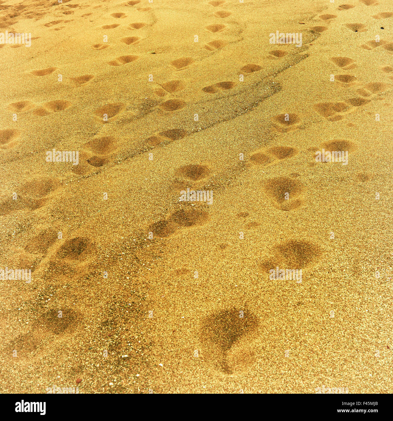 Footstep on sand hi-res stock photography and images - Alamy