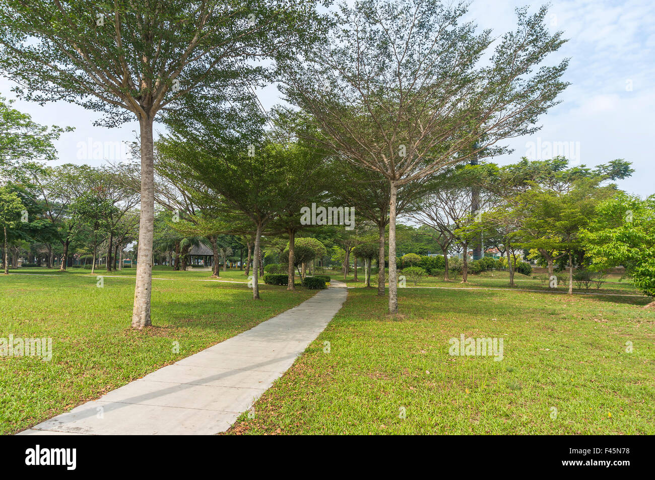 Jogging track at green garden Stock Photo - Alamy