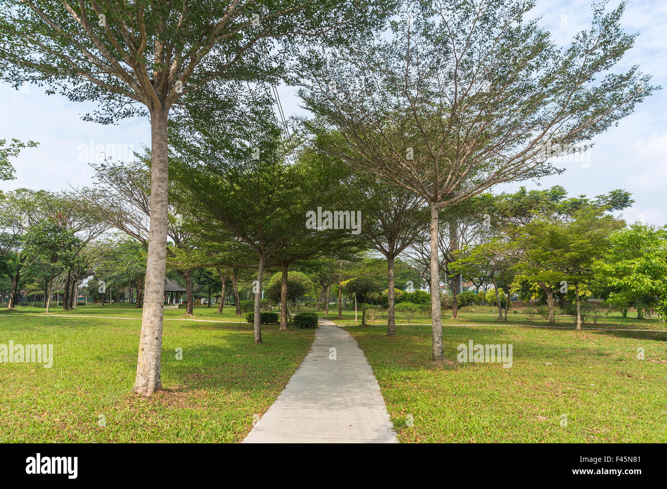 Jogging track at green garden Stock Photo - Alamy
