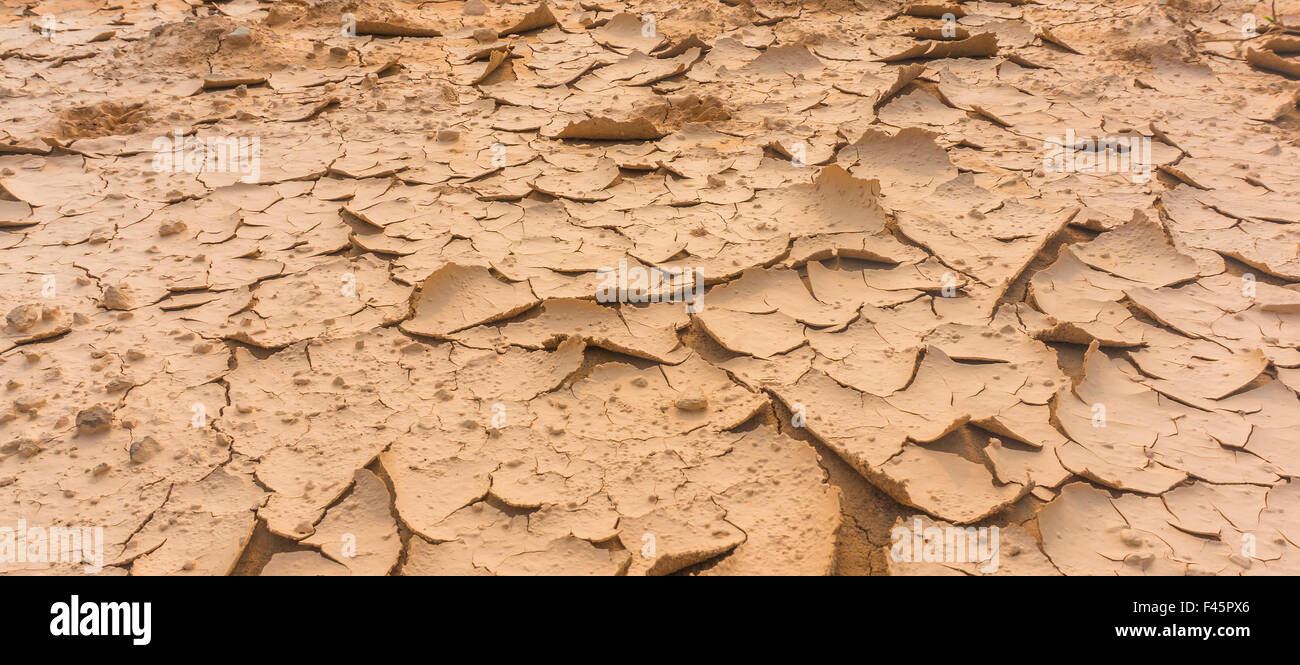 Dry soil crack texture Stock Photo - Alamy