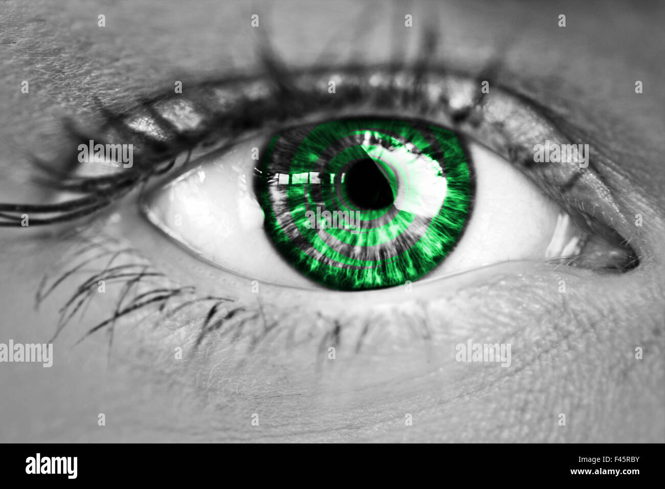 Composite eye hi-res stock photography and images - Alamy