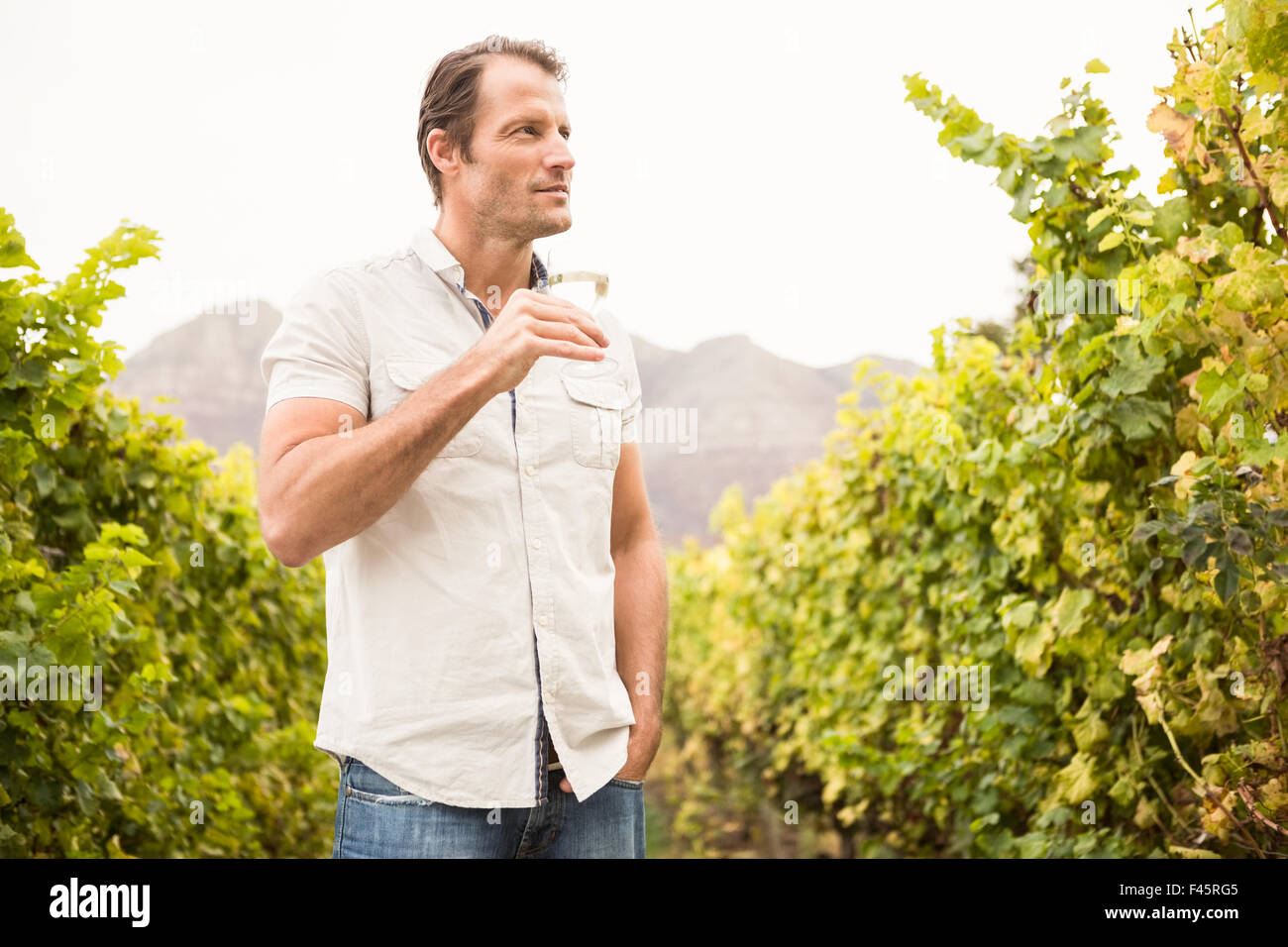 Portrait male vintner glass hi-res stock photography and images - Alamy