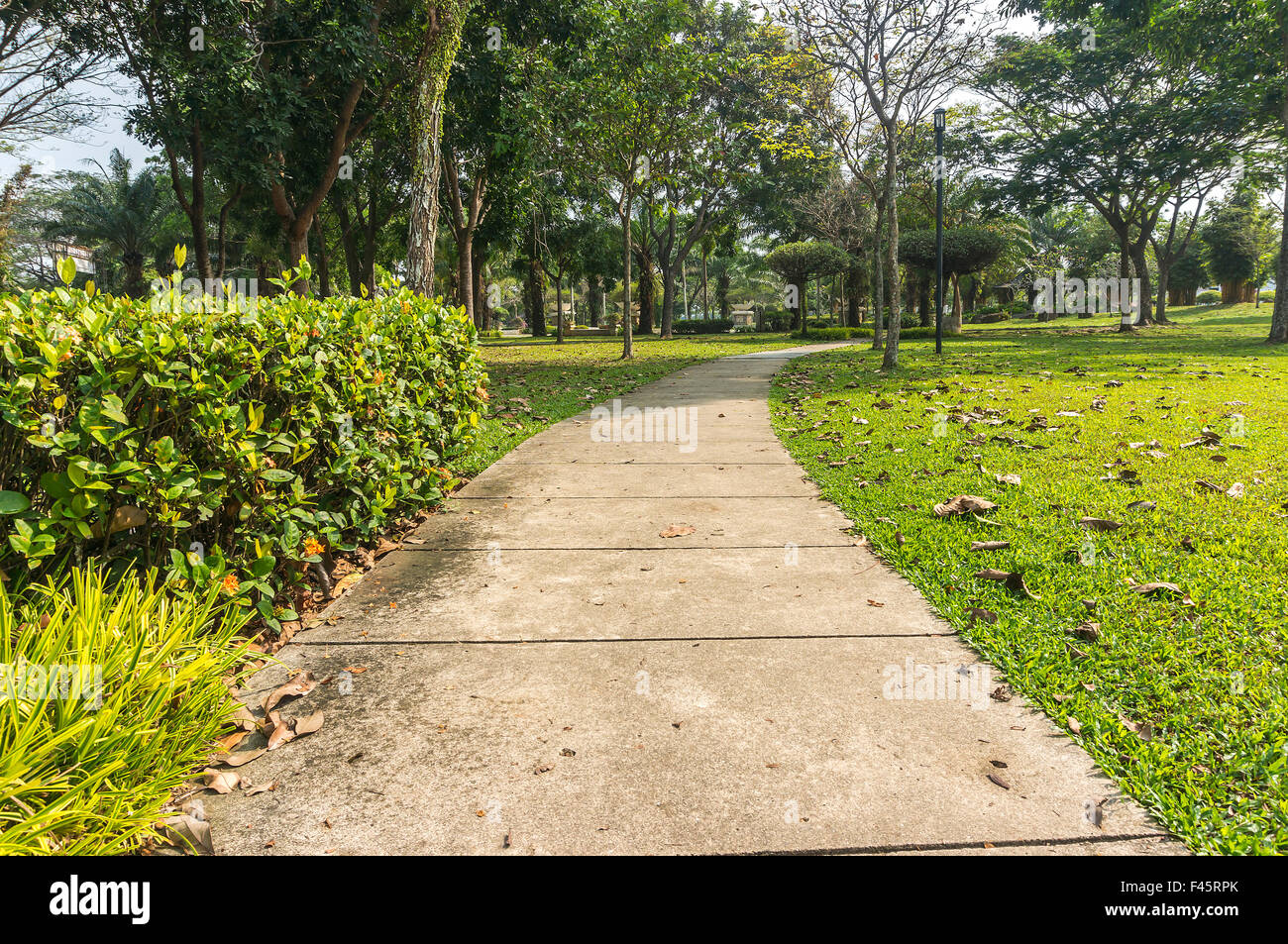 Jogging track at green garden Stock Photo - Alamy