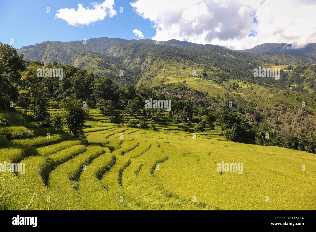 Traditional urban terraces hi-res stock photography and images - Alamy