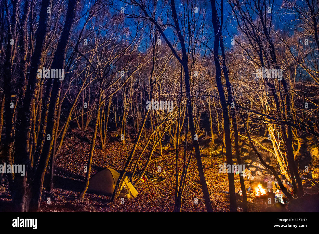 Fire red dawn sky forest hi-res stock photography and images - Alamy