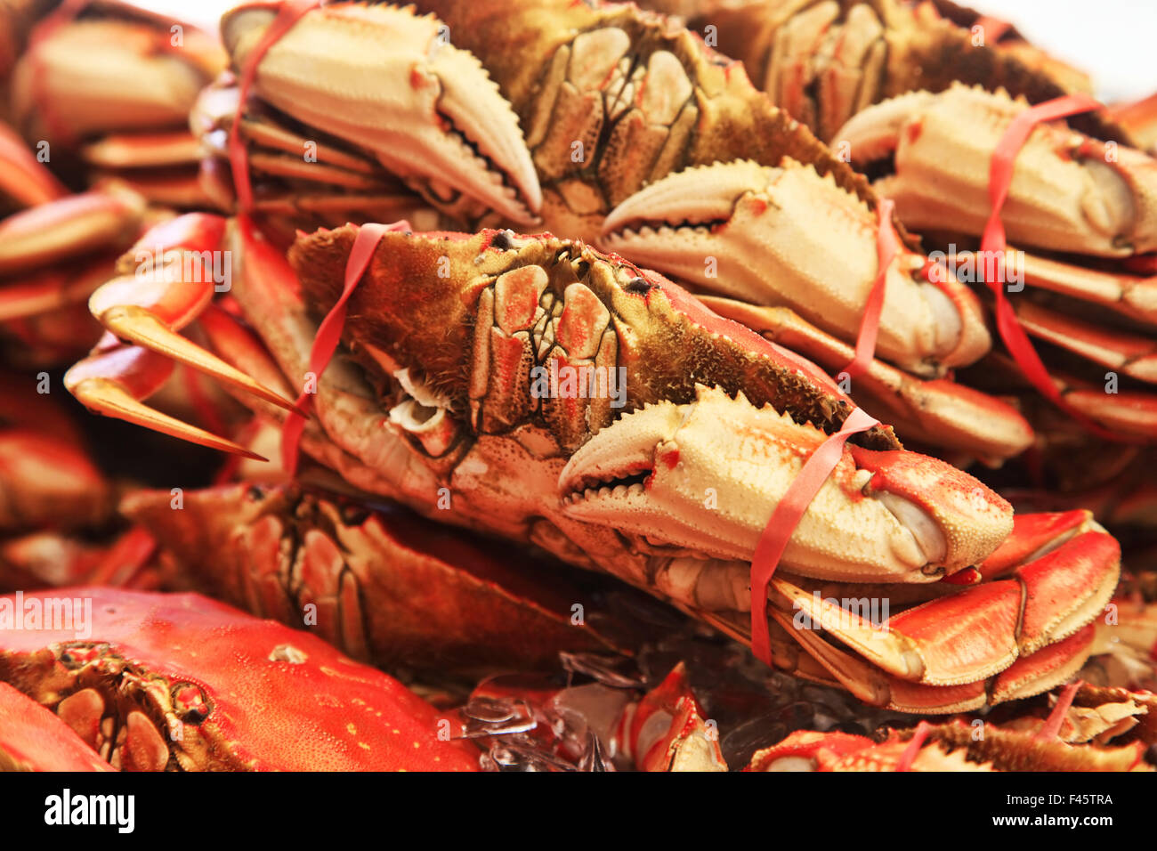 Close up steamed crabs hi-res stock photography and images - Alamy