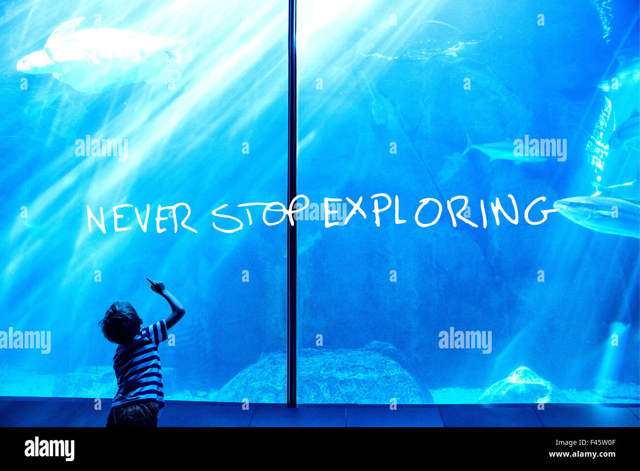Composite image of never stop exploring Stock Photo - Alamy Composite image of never stop exploring Stock Photo - Alamy
