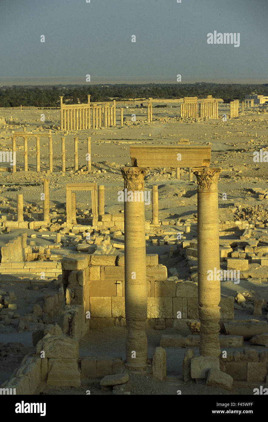Palmyra roman ruins hi-res stock photography and images - Alamy