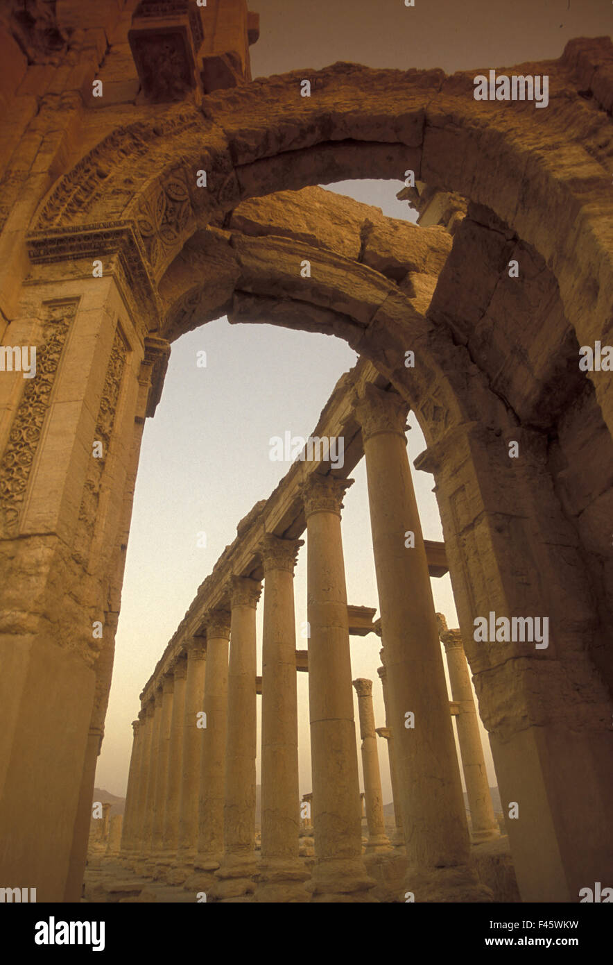 SYRIA PALMYRA ROMAN RUINS Stock Photo - Alamy