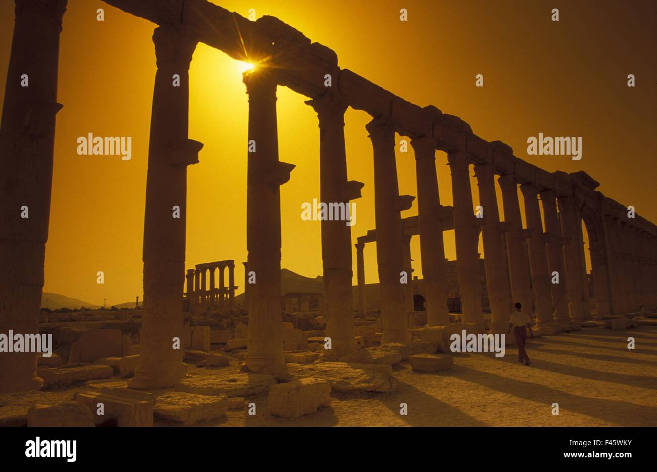 SYRIA PALMYRA ROMAN RUINS Stock Photo - Alamy