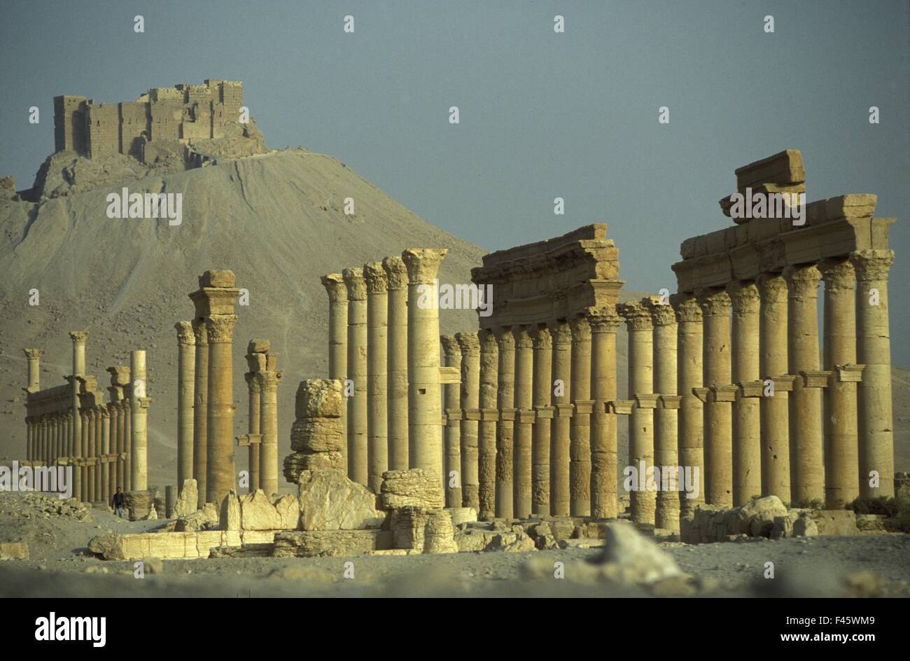 SYRIA PALMYRA ROMAN RUINS Stock Photo - Alamy