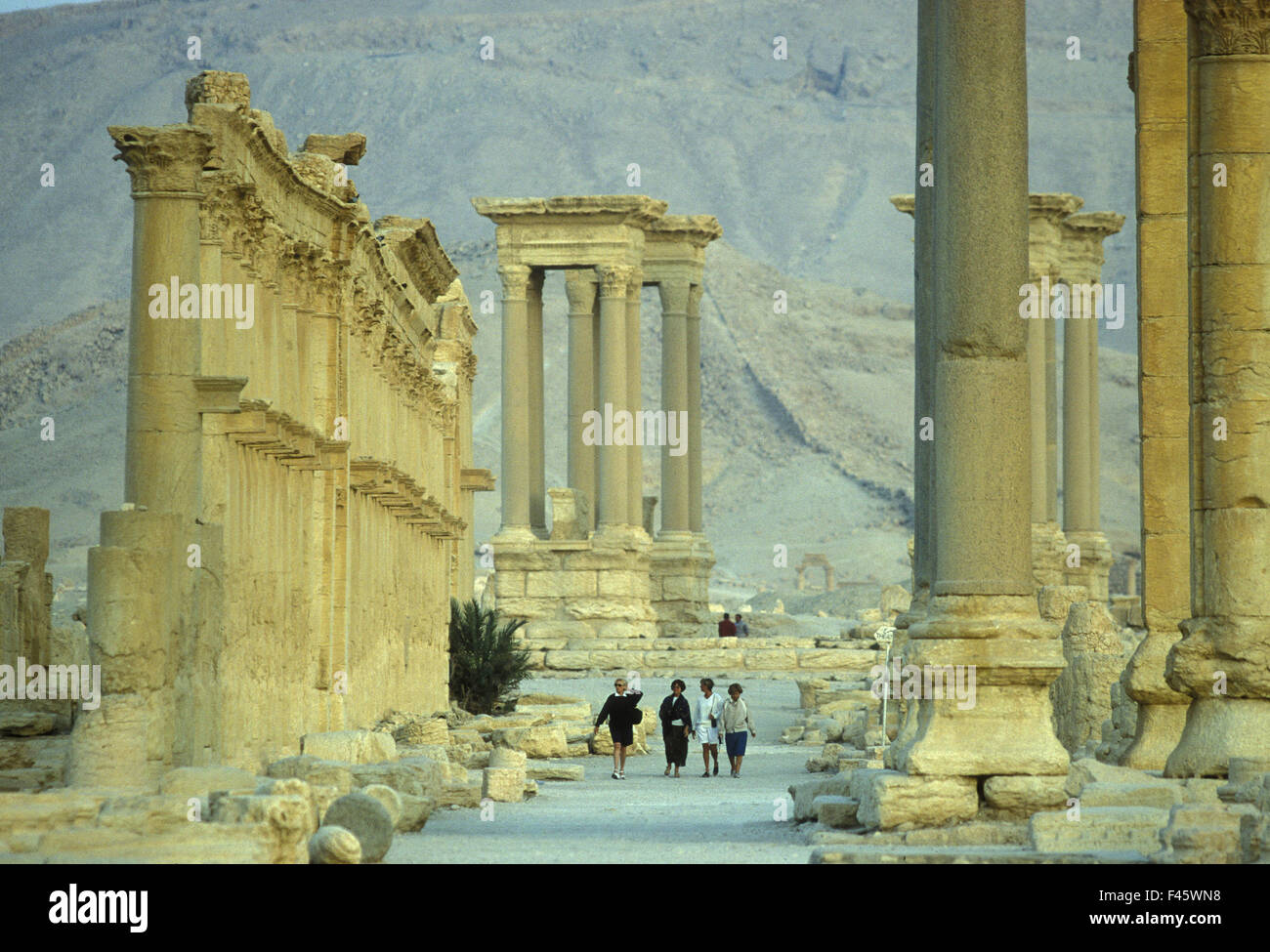 SYRIA PALMYRA ROMAN RUINS Stock Photo - Alamy