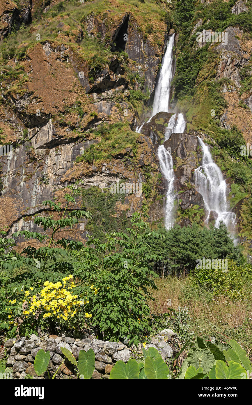 Waterfall in Himalayas Stock Photo - Alamy